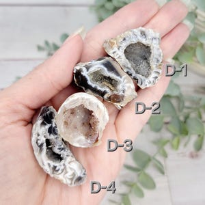 Oco Agate Geode Halves, High Quality Druzy Brazilian Oco Agate, A Grade ...