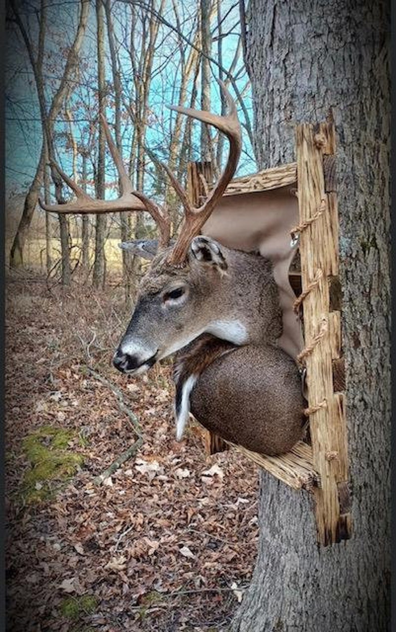 Taxidermy Backpack Mount - Etsy