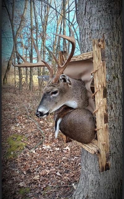 Taxidermy Backpack Mount - Etsy