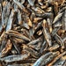 Dried Bony Fish 1lb - Protein-rich Seafood for Cooking - Etsy