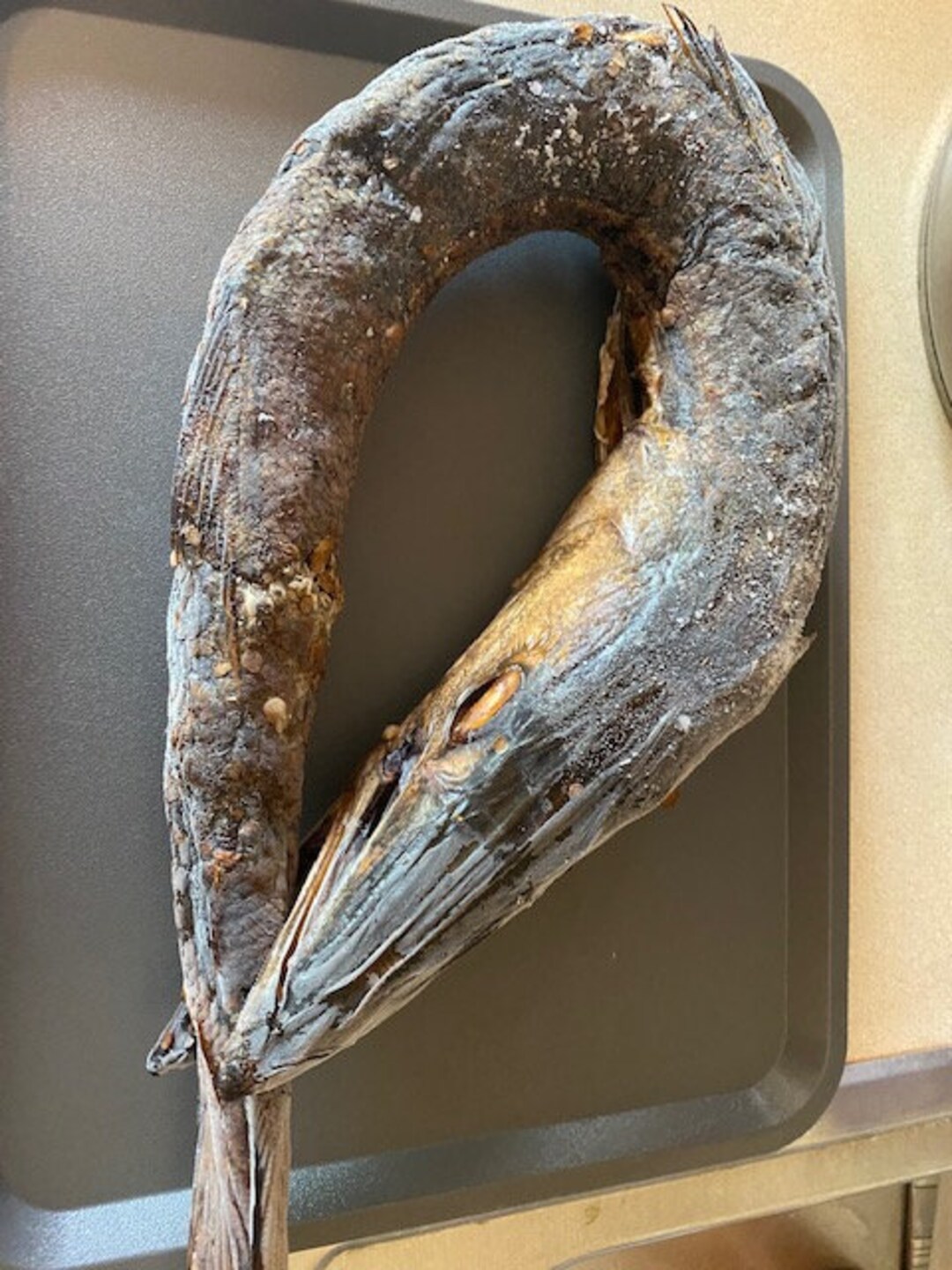 Kinney/edue/kin Dry Fish 1 Lb - Etsy