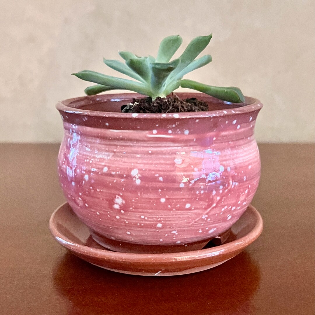 Tiny Pink Terra Cotta Flower Pot, Drainage Holes & Saucer - Etsy