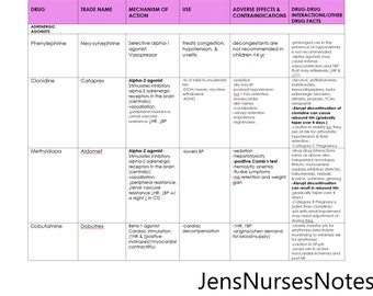 Stroke Nursing Notes Digital Copy Only - Etsy