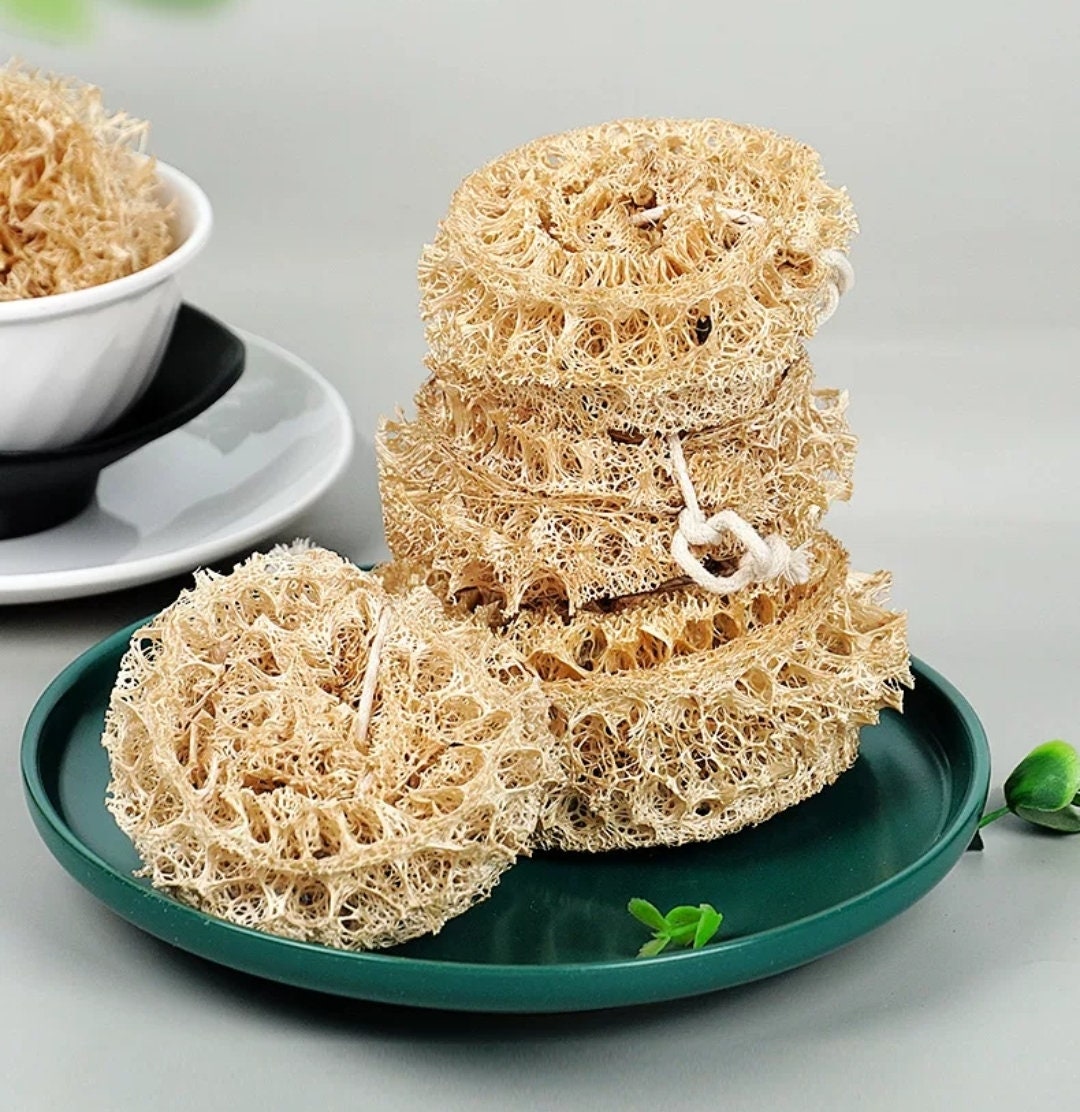 Organic Natural Loofah Sponge Ball 100% 3 Pc Loofah Organic - Etsy