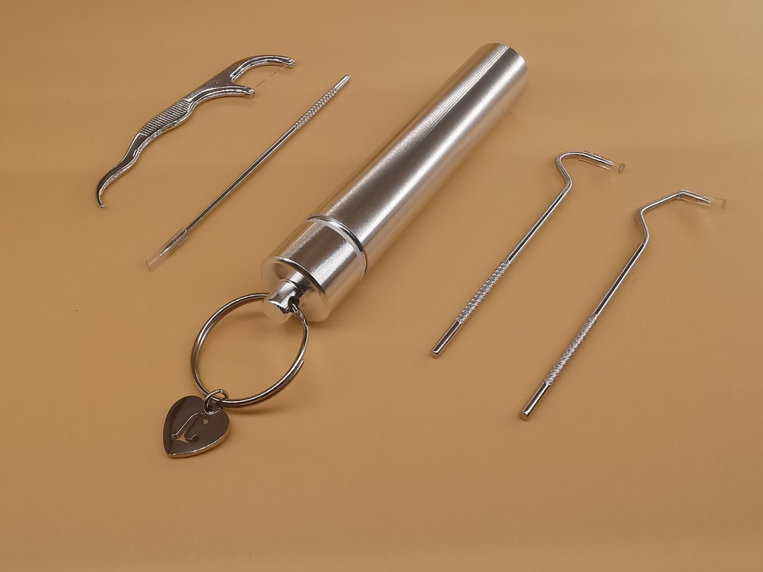 Reusable Metal Toothpick With Case- Portable Teeth Cleaner Keychain ...