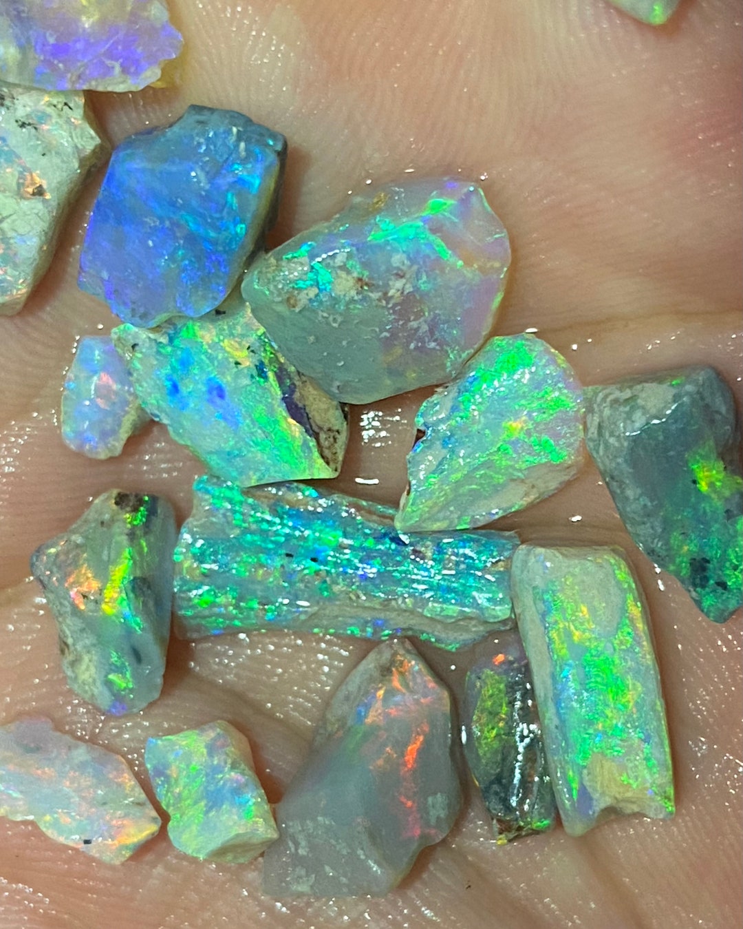 Fossil Opals Rough Lightning Ridge Australia - Etsy