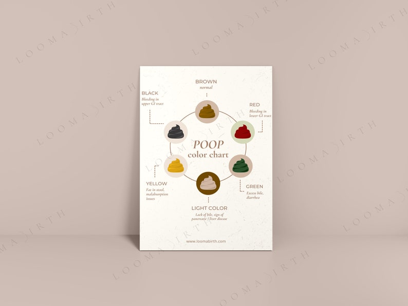 Printable Infographic Pee & Poop Charts - Etsy Australia