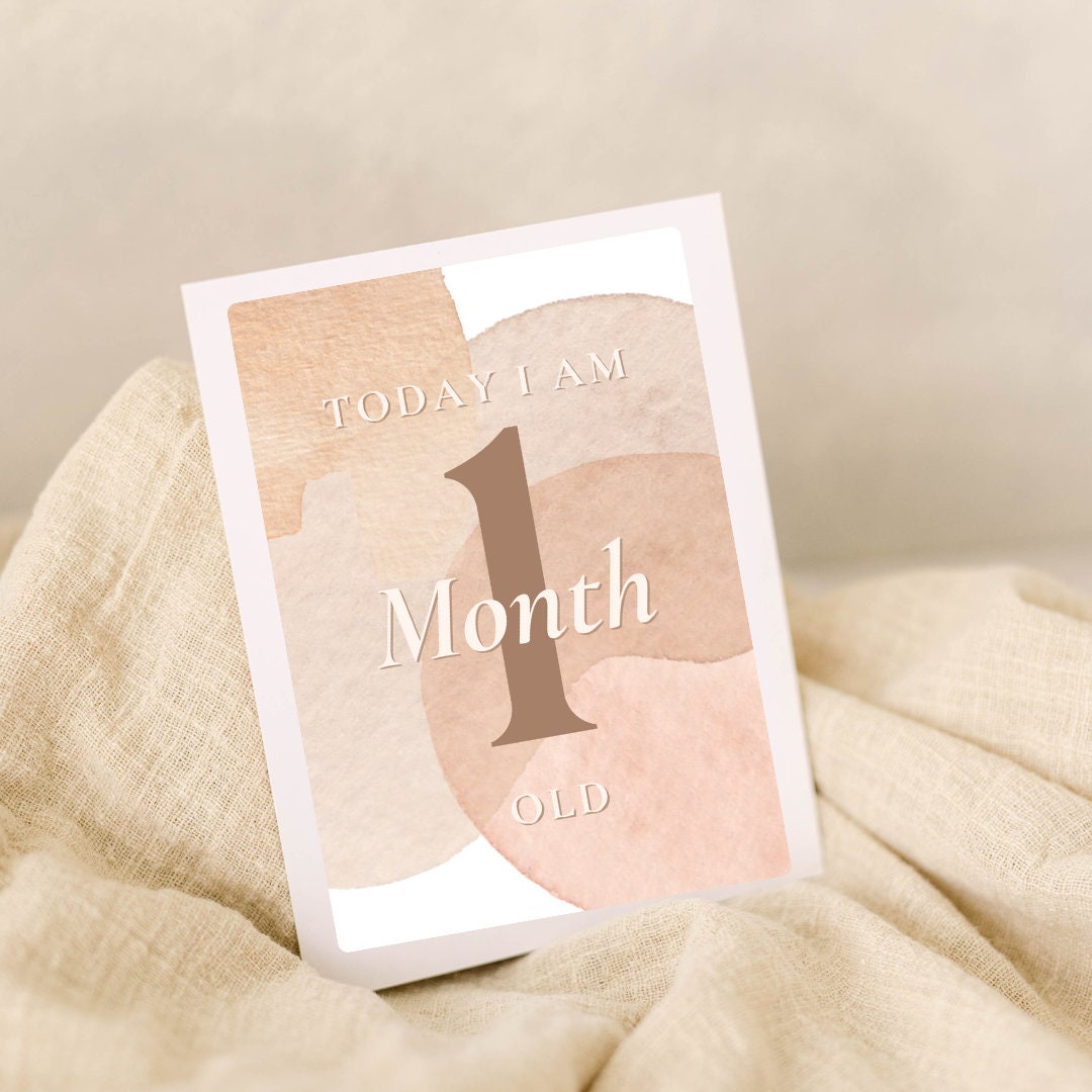 Monthly Counters printable - Etsy