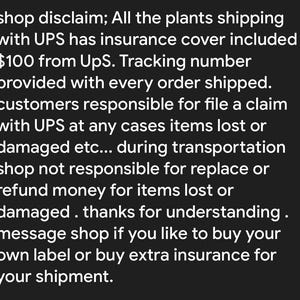 Mahara Deep Red Bougainvillea Bonsai .her Flowers Form in Clusters. - Etsy