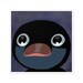 Noot Noot Stare Sticker - Etsy