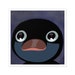 Noot Noot Stare Sticker - Etsy