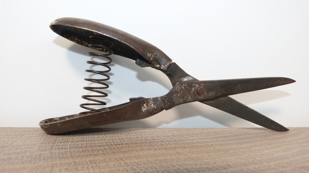Old Metal Scissors With Spring, Vintage Scissors, Antique Scissors ...