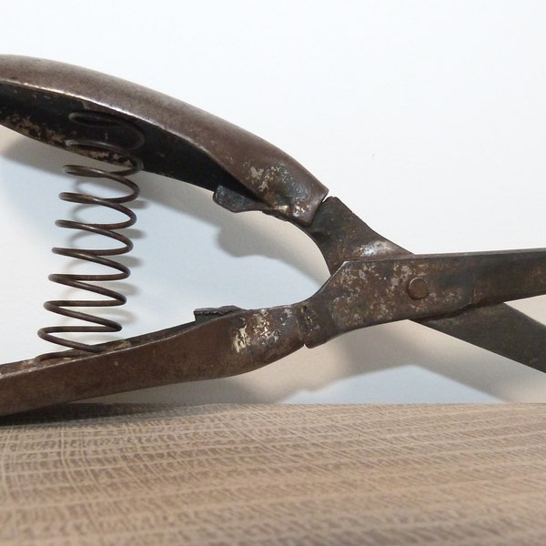 Antique Scissors - Etsy