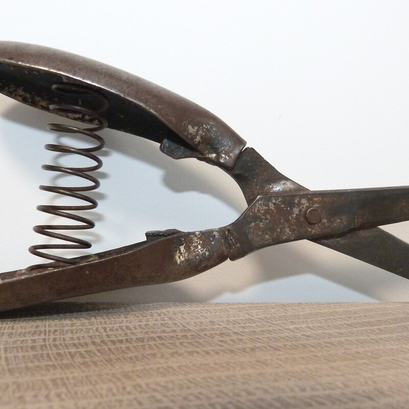 Antique Scissors - Etsy