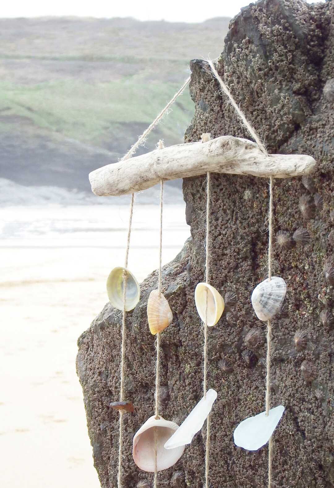 Beachcombed Rustic Seashell Mobile Wall Hanging Sea Shell, Driftwood ...