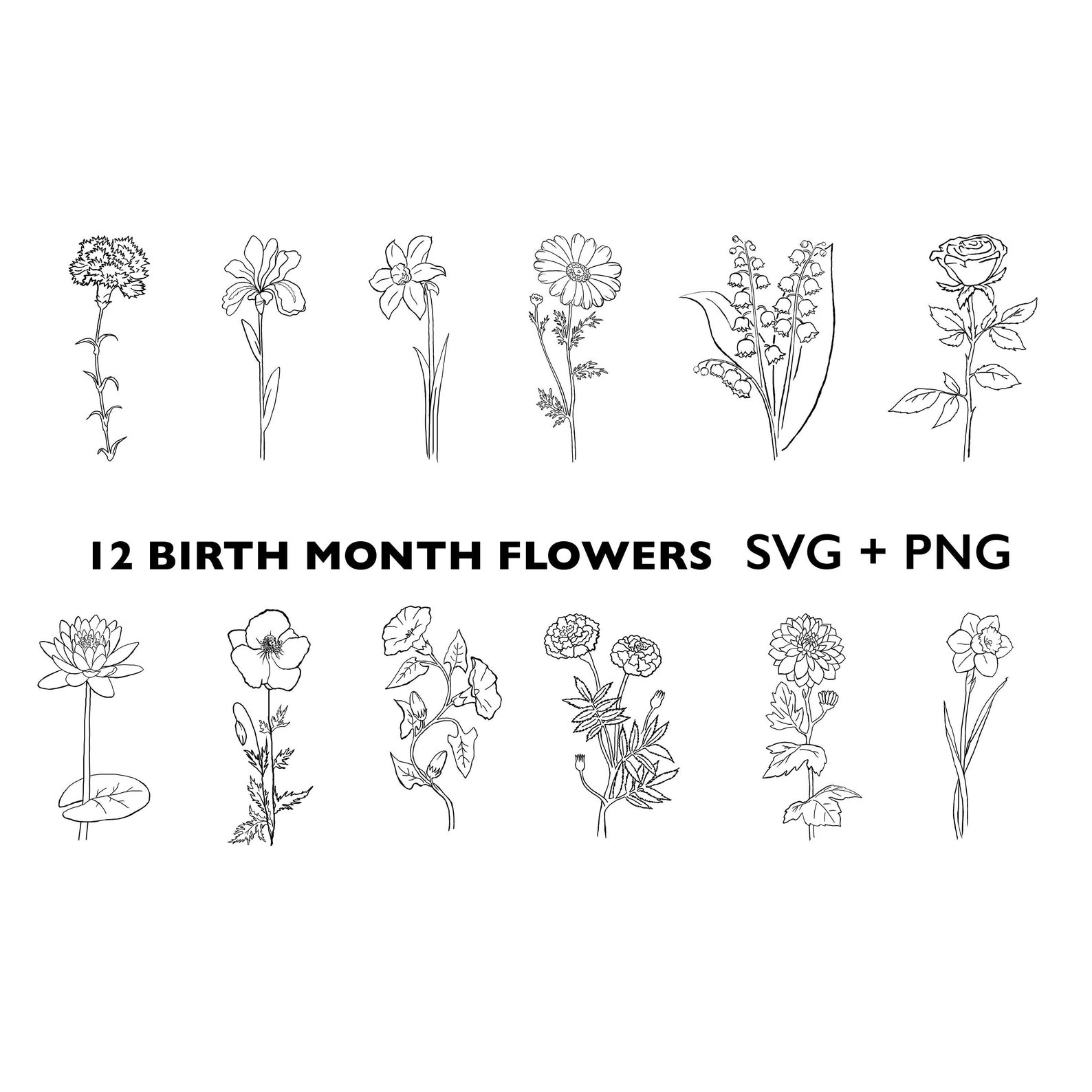 Birth Flowers SVG & PNG Clipart Birth Month Flower Bundle - Etsy