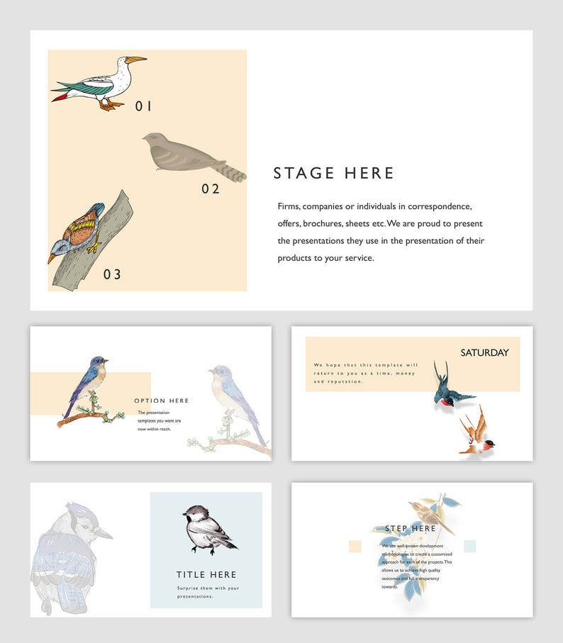 Minimal Birds Powerpoint Template - Etsy