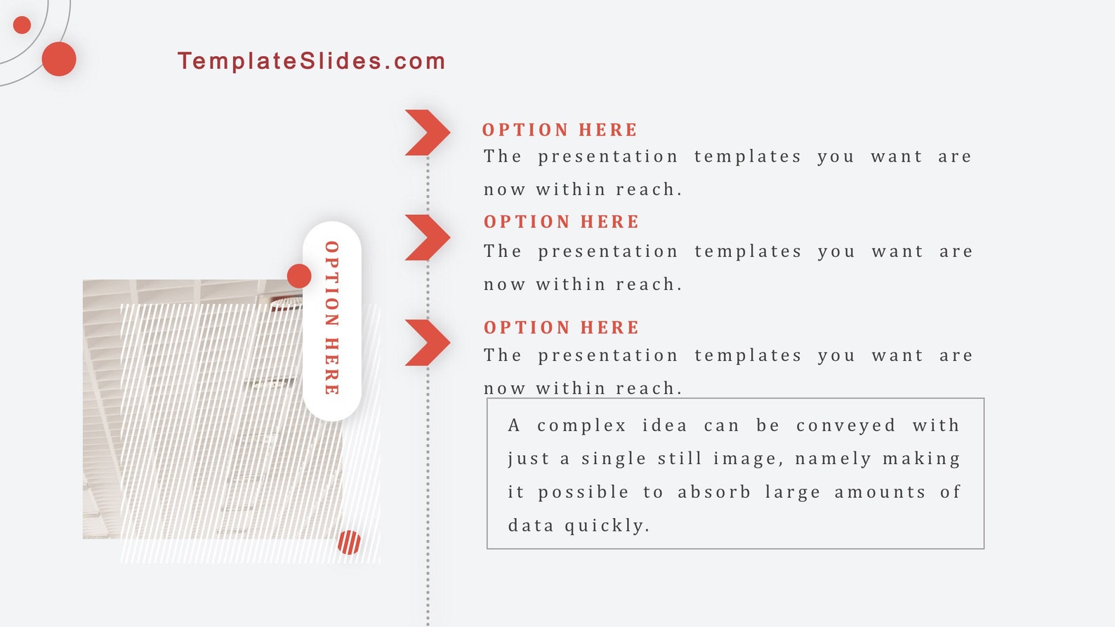 Management Training Program PPT Template - Etsy