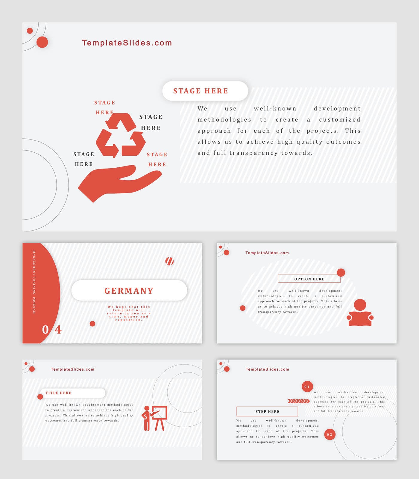 Management Training Program PPT Template - Etsy