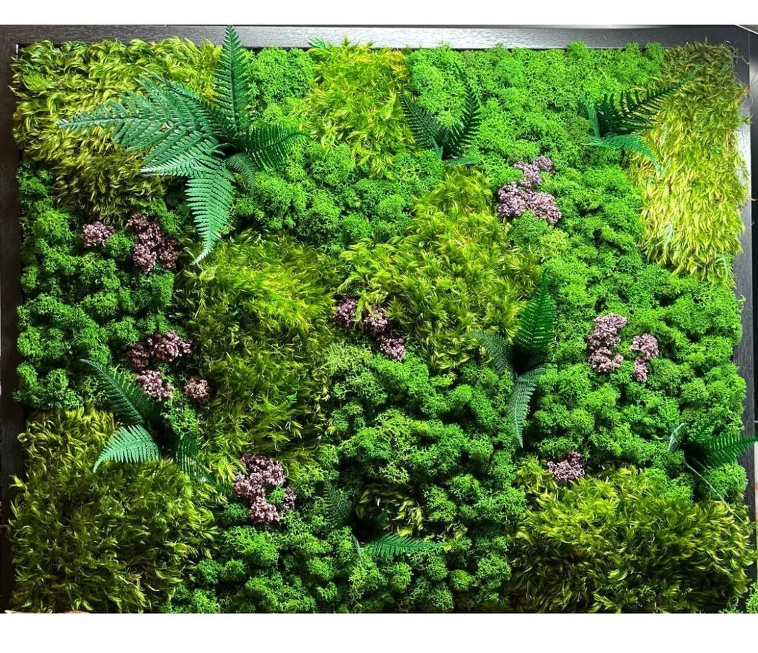 Moss Picture, Preserved Moss, Natural Decoration, Moss Mural, Moss Art ...