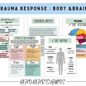 Fight Flight Freeze and Fawn Response Worksheets,trauma Response,trauma ...