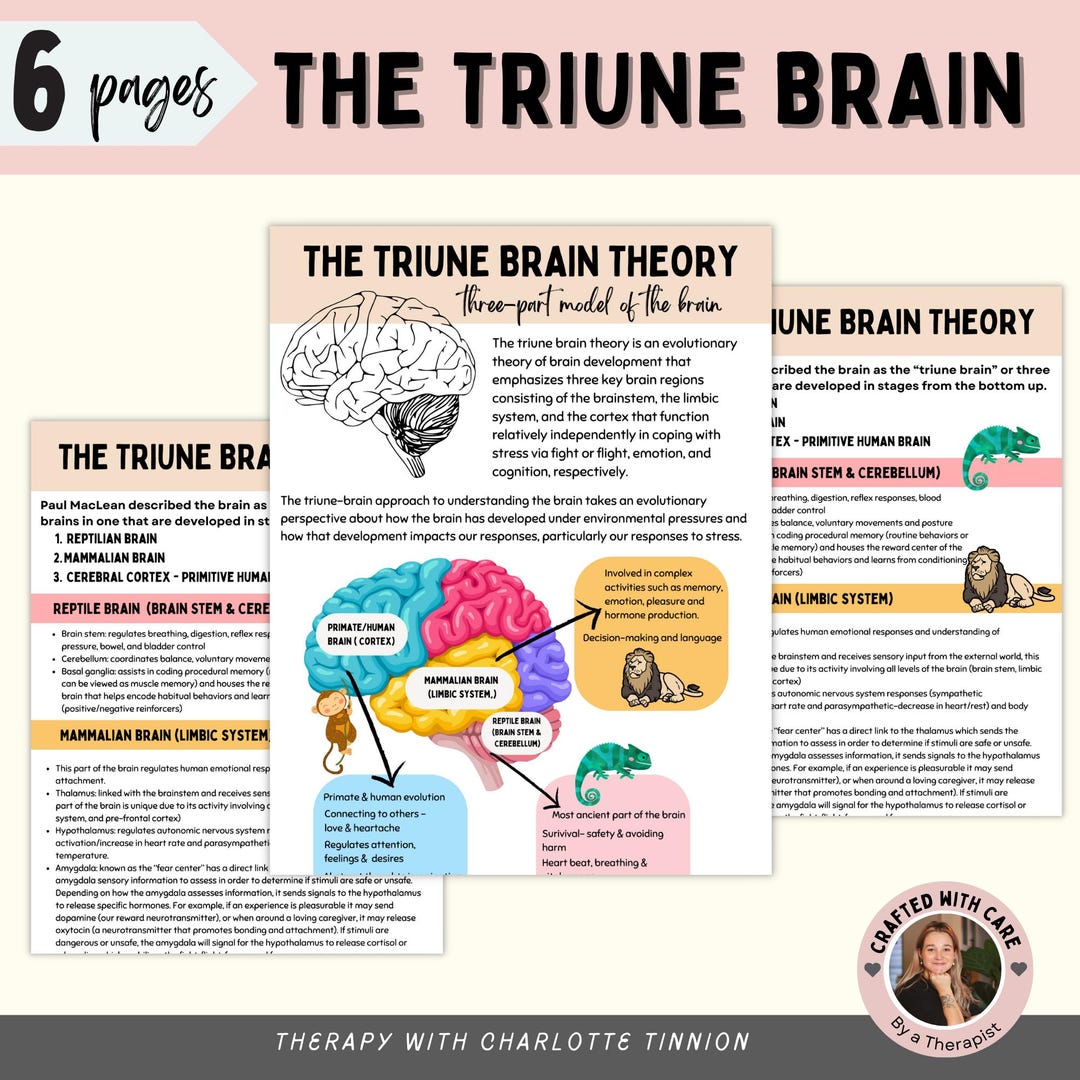 Triune Brain Model, Trauma and the Brain, Healing Trauma, Trauma ...