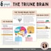 Triune Brain Model, Trauma Therapy Worksheets (6 Pages) - Etsy