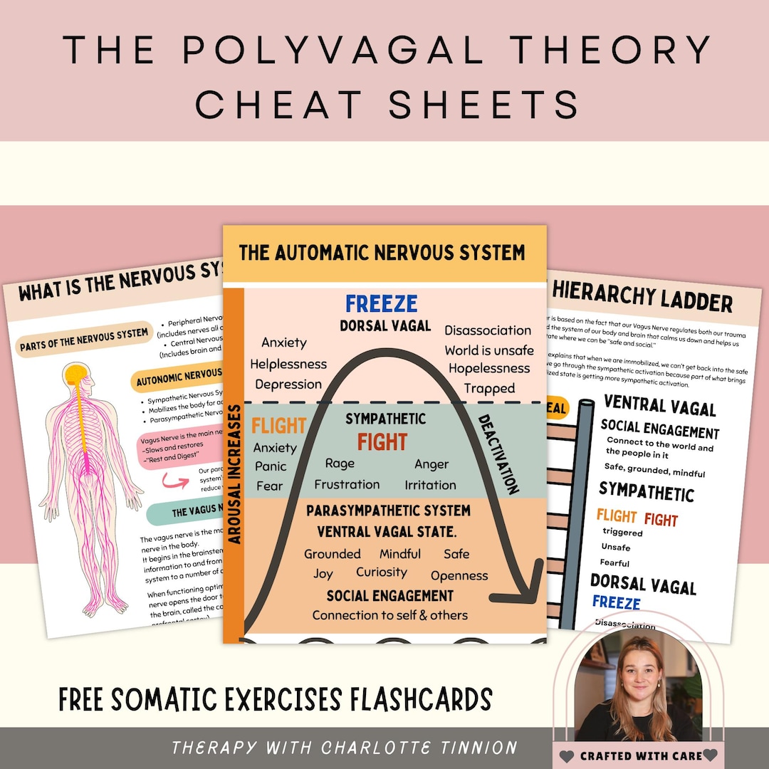 Polyvagal Theory Worksheets, Polyvagal Theory Cheat Sheet, Nervous ...