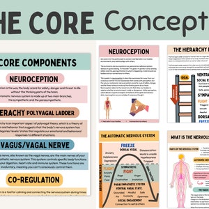 Polyvagal Theory Cheat Sheet, Nervous System Regulation Workbook ...
