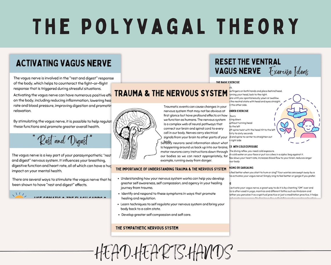 Polyvagal Theory Worksheets, Polyvagal Theory Cheat Sheet, Nervous ...