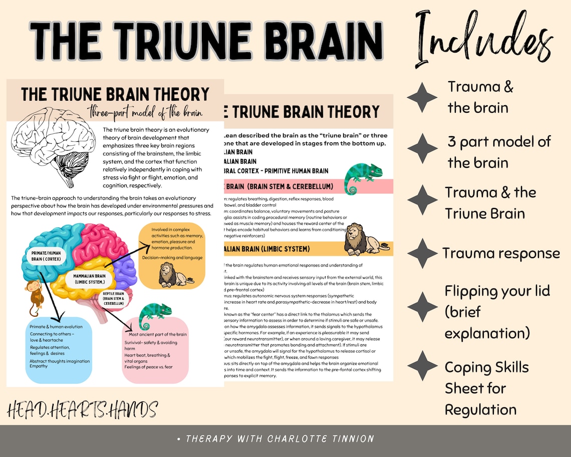 Triune Brain Model, Trauma and the Brain, Healing Trauma, Trauma ...