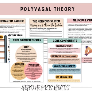 Nervous System Regulation Workbook, Polyvagal Theory, Autonomic Nervous ...