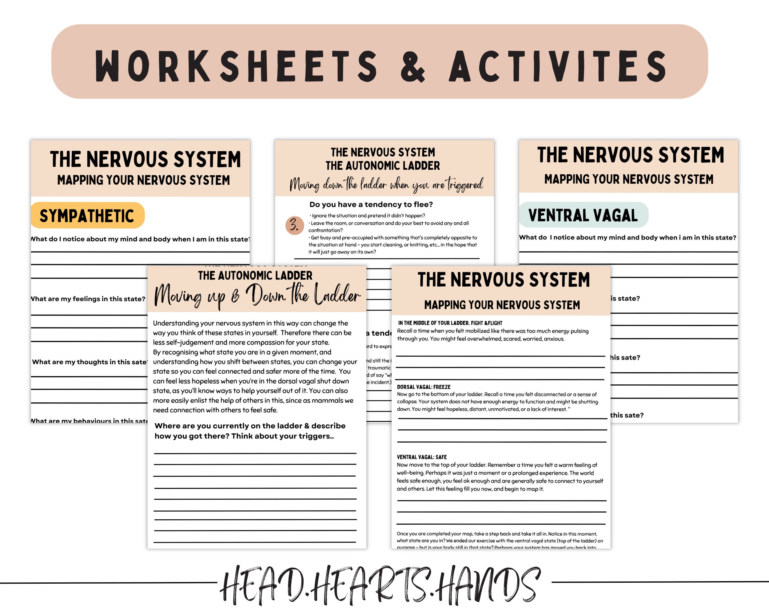 Nervous System Regulation Workbook, Polyvagal Theory, Autonomic Nervous ...