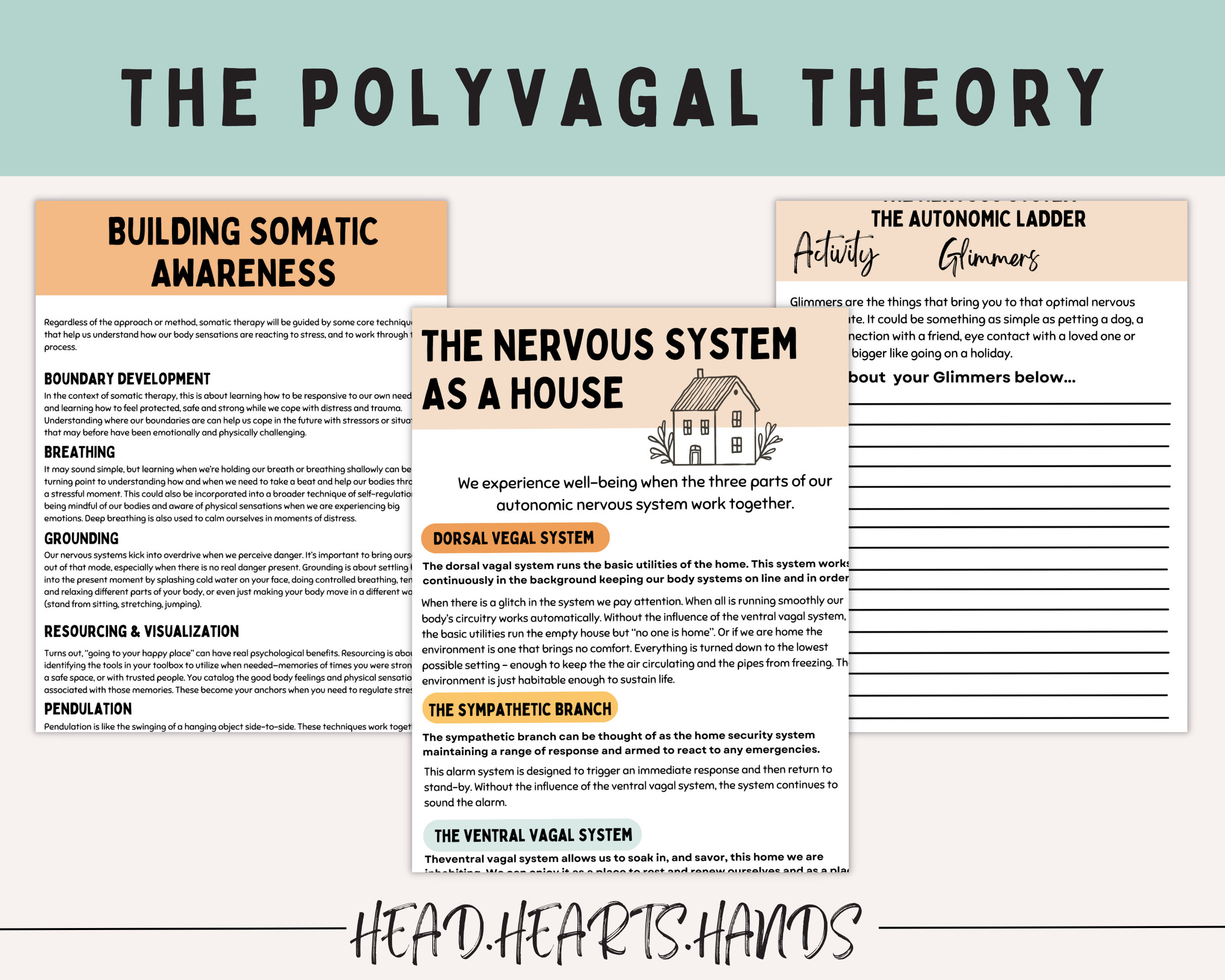 Polyvagal Theory Cheat Sheet, Nervous System Regulation Workbook ...