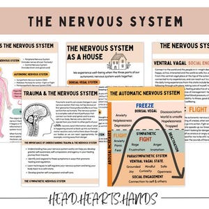 Nervous System Regulation Workbook, Polyvagal Theory , Somatic ...