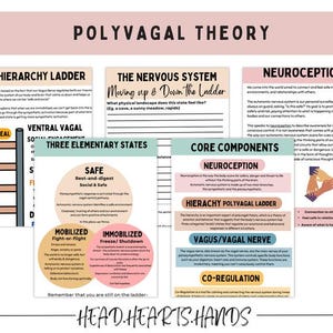 Nervous System Regulation Workbook, Polyvagal Theory , Somatic ...