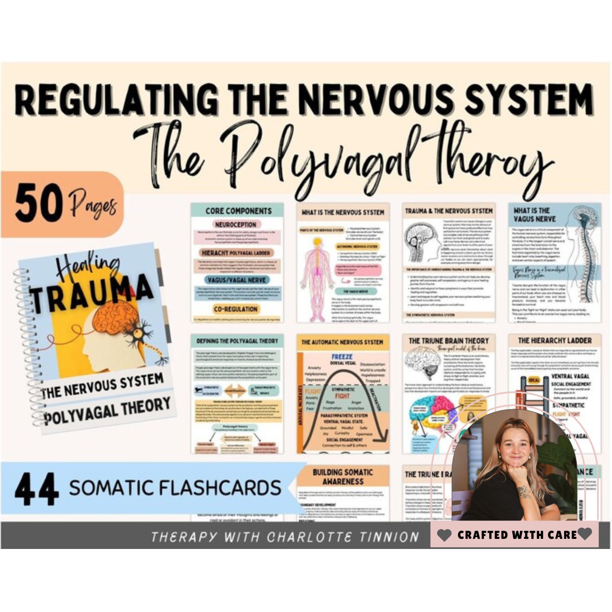 Trauma Therapy Worksheets Bundle, EMDR, PTSD, Safety Plan (800 Items ...