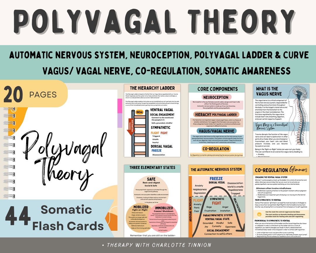 Polyvagal Theory Cheat Sheet Chart Regulating the Nervous - Etsy UK