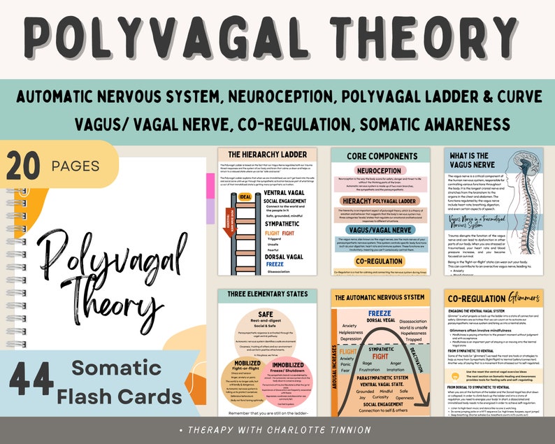 Polyvagal Theory Cheat Sheet Chart Regulating the Nervous - Etsy Australia Polyvagal Theory Cheat Sheet Chart Regulating the Nervous - Etsy Australia