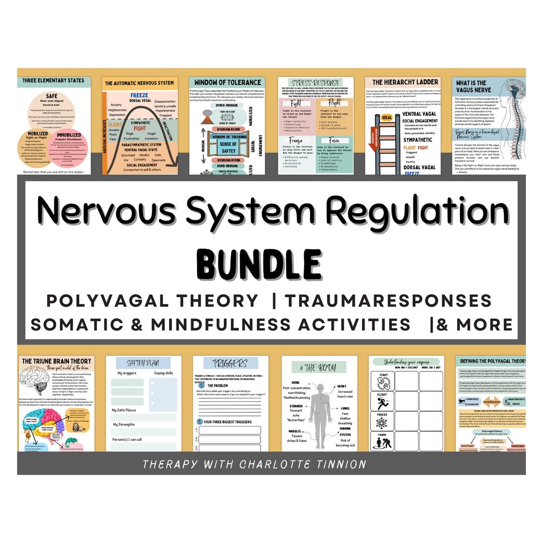 Nervous System Regulation Workbook, Autonomic Nervous System,fight ...
