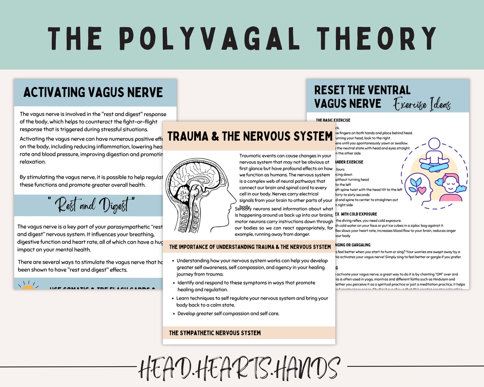 Polyvagal Theory Cheat Sheet Chart, Nervous System Regulation, Somatic Therapy, Regulating the ...