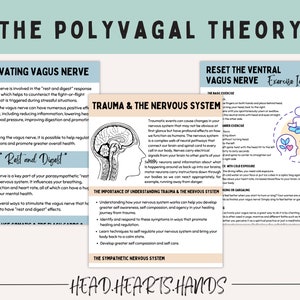 Polyvagal Theory Cheat Sheet, Nervous System Regulation Workbook ...