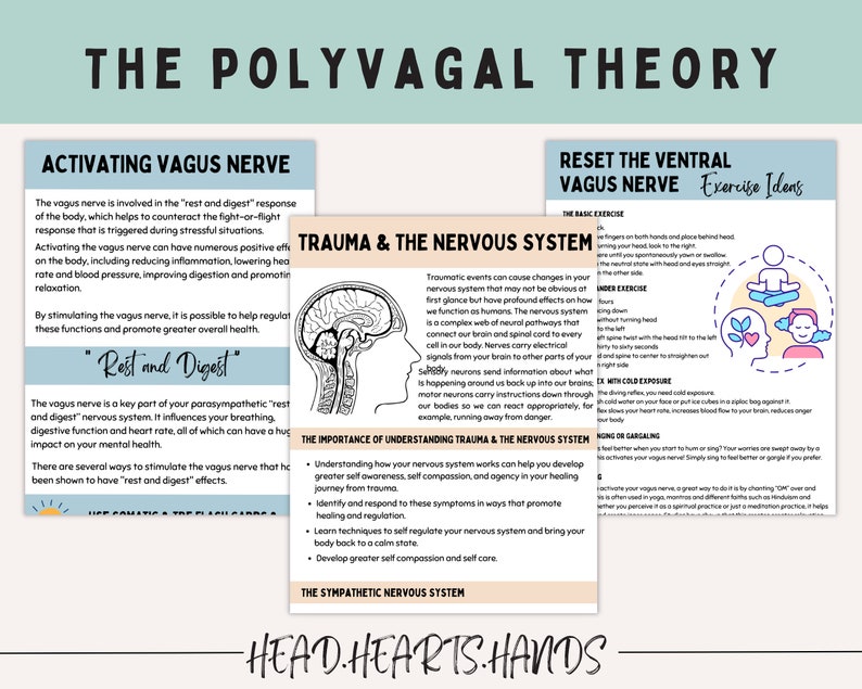 Polyvagal Theory Cheat Sheet, Nervous System Regulation Workbook ...
