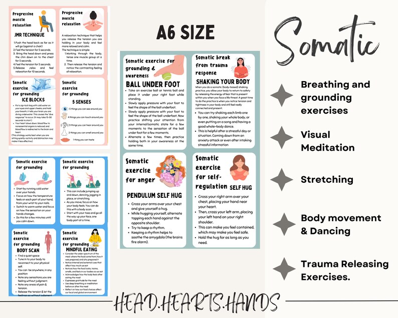 Somatic Therapy Exercise Cards, Somatic Awareness Flashcards, Nervous ...