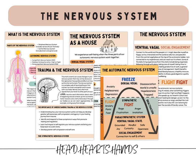 Polyvagal Theory Cheat Sheet, Nervous System Regulation Workbook, Emotional Regulation, Somatic ...