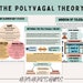 Polyvagal Theory Cheat Sheet, Nervous System Regulation Workbook ...
