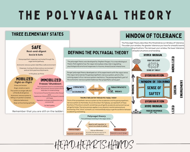 Polyvagal Theory Cheat Sheet Chart, Nervous System Regulation, Somatic ...