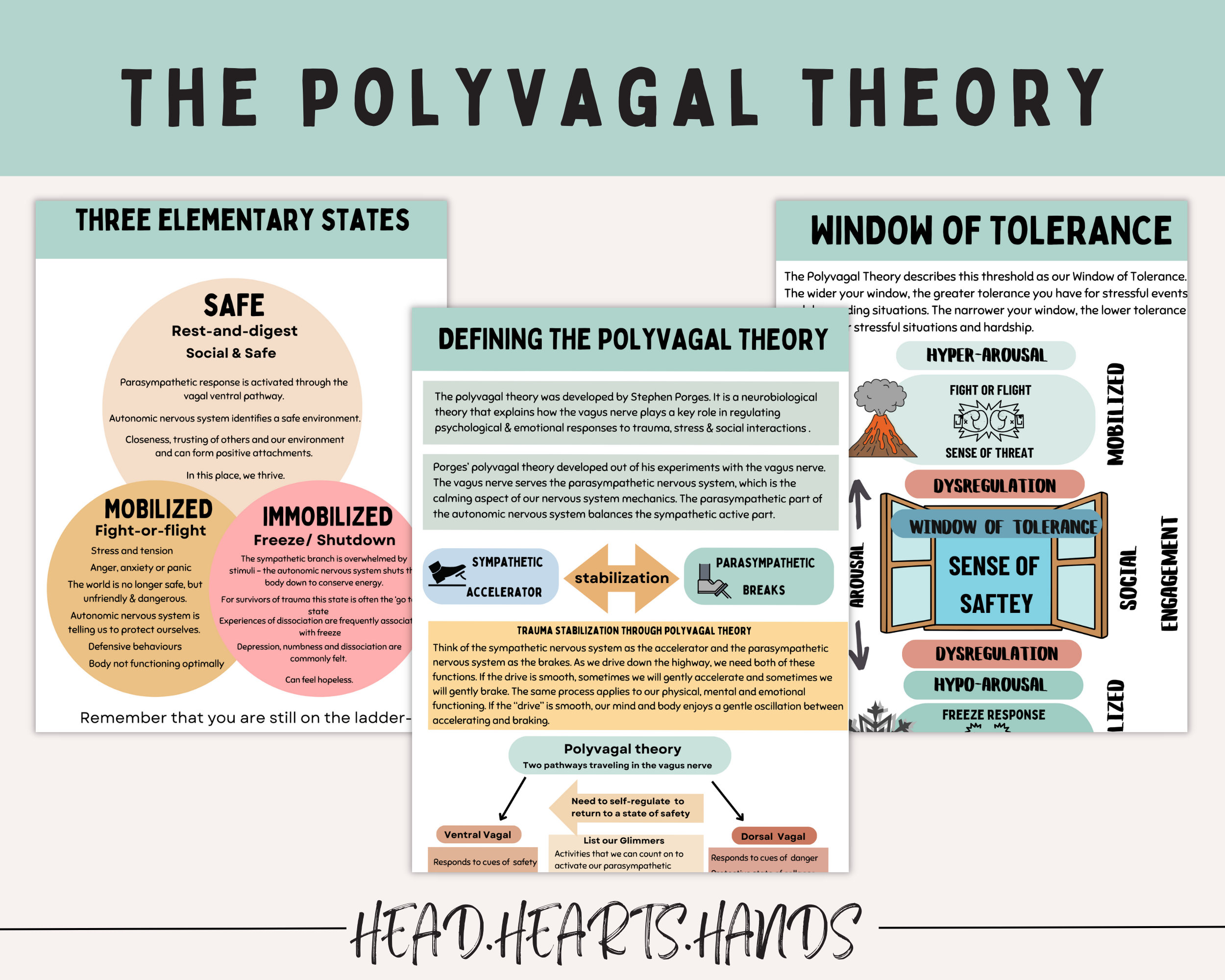 Polyvagal Theory Cheat Sheet Chart Nervous System Regulation Somatic