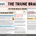 Triune Brain Model, Trauma Therapy Worksheets (6 Pages) - Etsy