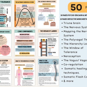 The Polyvagal Theory, Vagus Nerve Stimulation, Trauma Therapy ...